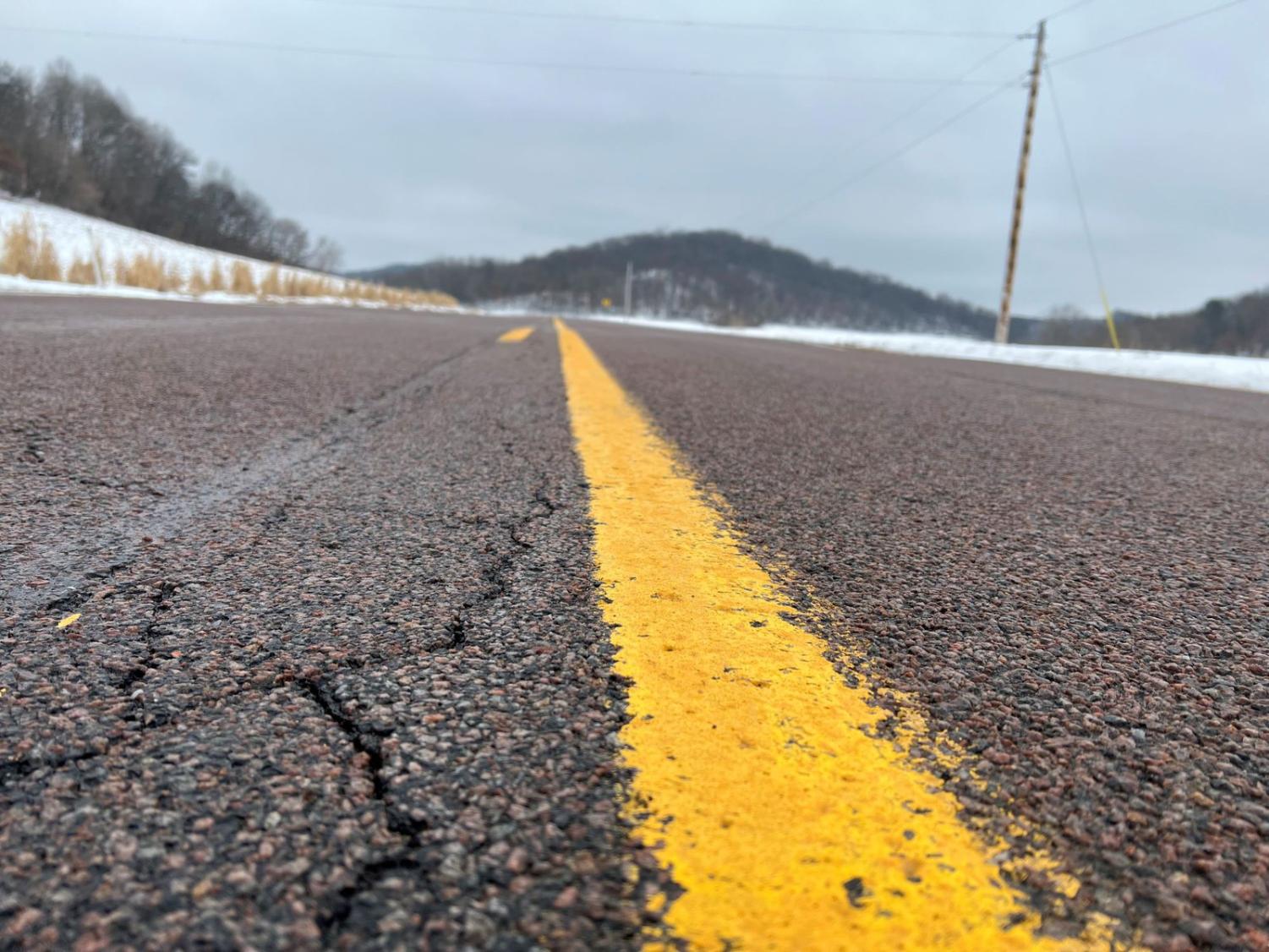 The road signs of spring - Royal Purple